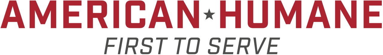 Fundraising Automation Whitepaper download - MarketSmart